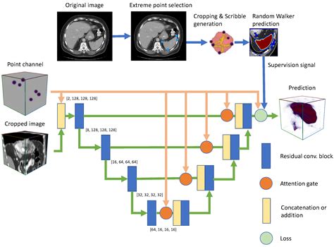 going to extremes weakly supervised medical image segmentation