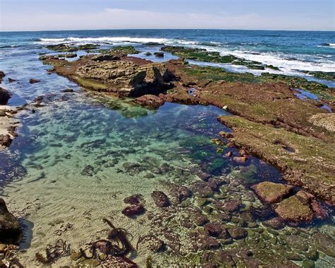Geo5 Ca Rocky Intertidal