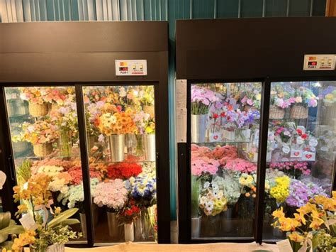 양산꽃집물금꽃집삽질하는꽃쟁이의 월요일의 새로운꽃가득입니다증산꽃집양산꽃집물금꽃집가촌꽃집 네이버 블로그