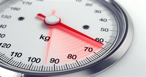 საპროექტო საკონსტრუქტორო ინსტიტუტი