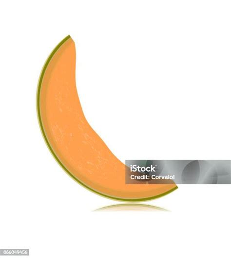 Tranches De Melon Isolé Sur Fond Blanc Vecteurs Libres De Droits Et Plus Dimages Vectorielles