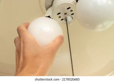 Replace Light Bulb Lighting Fixture Stock Photo 2178520683 Shutterstock