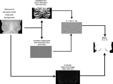 block diagram of preparation of lower boundary mask download