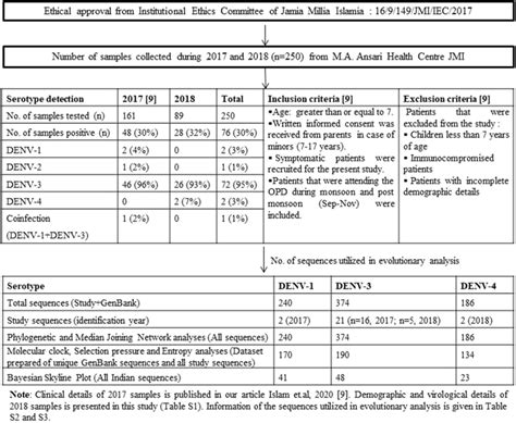 Overview Of The Study The Figure Illustrates The Inclusion And Download Scientific Diagram
