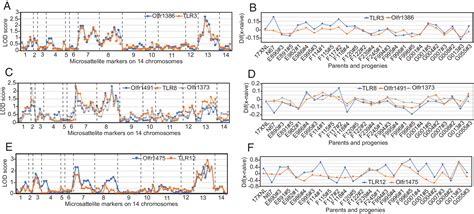 Nad Activates Olfactory Receptor 1386 To Regulate Type I Interferon Responses In Plasmodium
