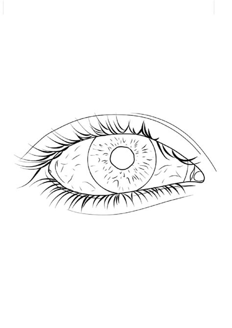 Ojos De Dibujos Animados Para Colorear Imprimir E Dibujar