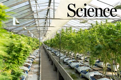 Reclassifying From Schedule I