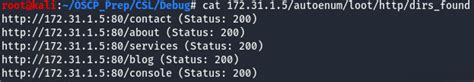 Cyberseclabs Debug Write Up Grimmzsec