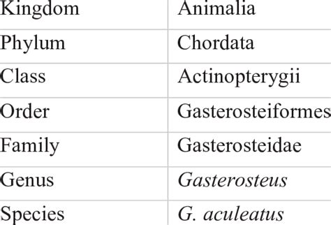 Classification Of Threespined Stickleback Gasterosteus Aculeatus