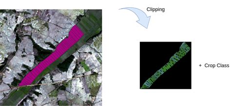Classification Of Crop Fields Through Satellite Image Time Series Dida Blog