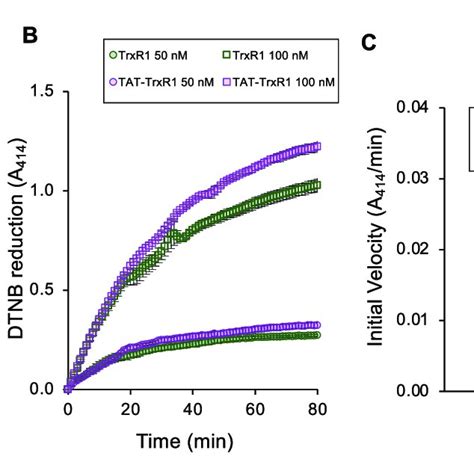 Purity And Biochemical Activity Of Trxr1 And Tat Trxr1 Variants The