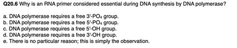 Solved Q Why Is An RNA Primer Considered Essential Chegg Com