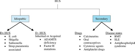 What Is Hemolytic Uremic Syndrome