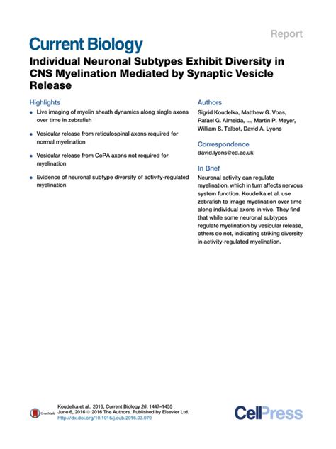 Individual Neuronal Subtypes Exhibit Diversity In Cns Myelination Mediated By Synaptic Vesicle