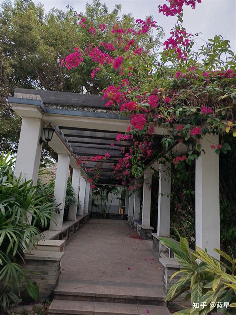 优雅别致的南国风景！ 知乎