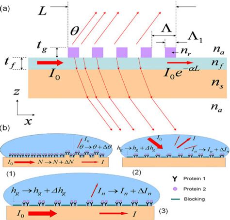 A Grating Coupler B Diffraction Based Biosensors 1 Angular Download Scientific Diagram