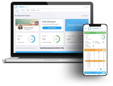 The Stillwater Project Open Professional Group Database Developer And Web Software Development