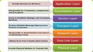 Application Layer in OSI Model: Functions, Protocols, Examples, Services