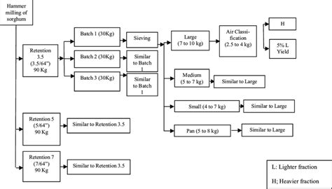 Schematic Of Experimental Methodology Download Scientific Diagram
