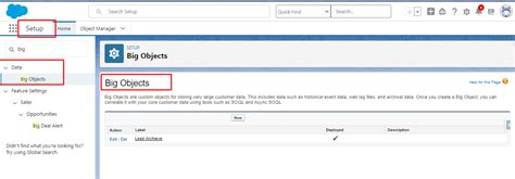 Salesforces Big Objects Ibirds Services Sharing Technology