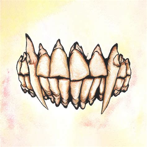 CACHE No Echo Premieres Severance Package Off With My Head Video Eponymous Debut EP From