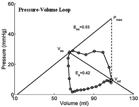 Measure E Es E A Ratio By A Single Pressure Volume Loop Obtained By