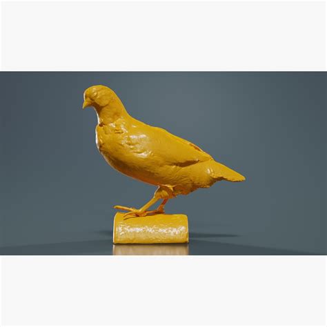 Partridge Galliform Perdicinae Phasianidae 3d Model Download