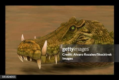 Kaprosuchus Saharicus Head Detail High Res Vector Graphic Getty Images