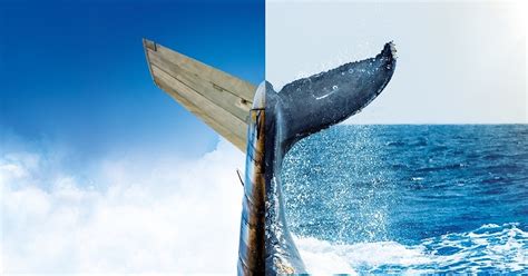 Pa Consulting Welcomes Jonquil Hackenberg As Head Of… Pa Consulting