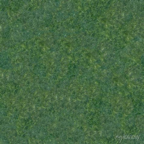 Grass Seamless Texture Material Map For Creating Materials Background Posters For The Wall