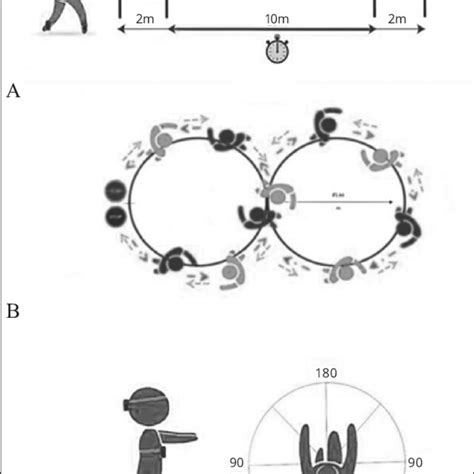 Schematic Representation Of The Three Motor Tasks Performed A 10mwt
