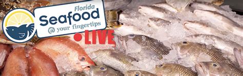 Florida Sea Grant Chefs Educate On Sustainable Seafood Selection And Prep