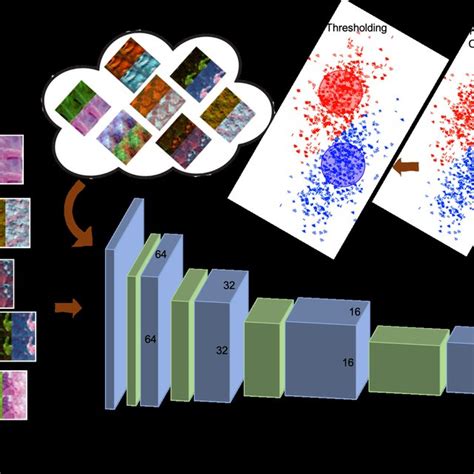 Shows The Three Prominent Steps Of The Technique 1 Deep Learning Download Scientific Diagram