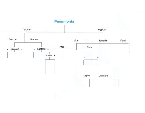 Pneumonia Flowchart Quiz