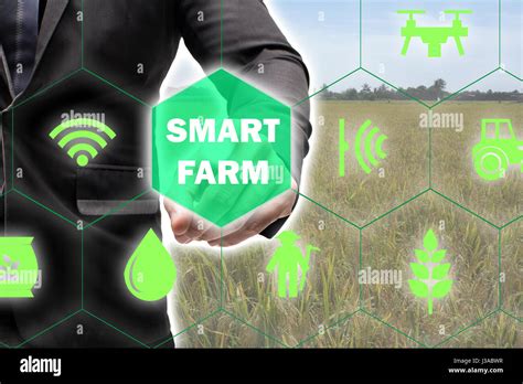 Iot Internet Of Things Agriculture Concept Smart Farming Industrial Agriculture Farmer Point
