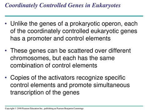 Regulation Of Gene Expression Ppt Download