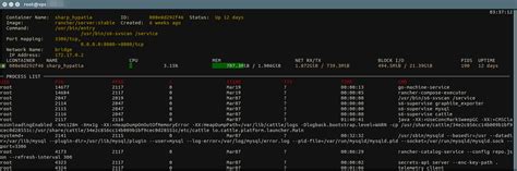 dry an interactive cli manager for docker containers 2daygeek