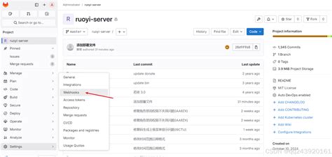 Jenkins整合docker实现cicd自动化部署（若依项目）jenkins Docker Cicd Csdn博客
