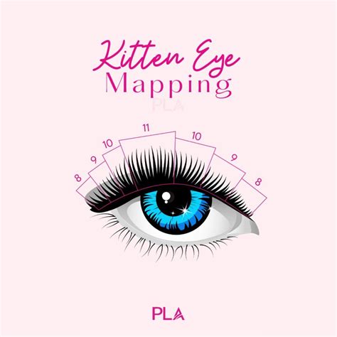 A Guide To Captivating Lash Styles For Brides Destination I Do