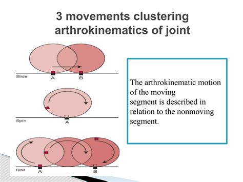 Joint Structures And Function Pdf