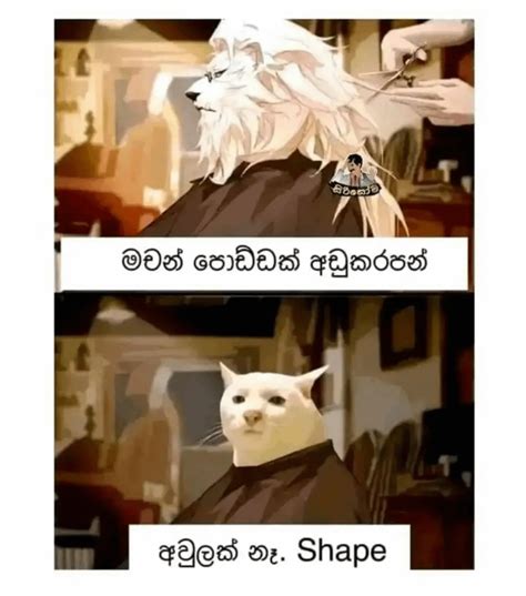 Carima Atta Mewwa 😂💔 Rtkasylum