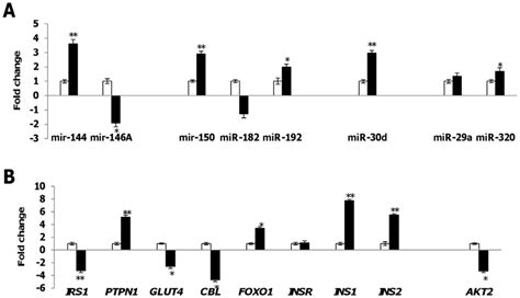 A Quantitative Stem Loop Rt Pcr Of Selected Mirnas In Islets With Download Scientific Diagram