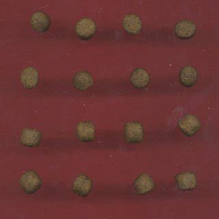 The Comparison Of K Descriptor Profile Between Rectangle And Circle Download Scientific Diagram