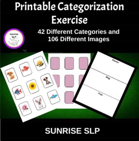 Printable Categorization Exercise For Adult Speech Therapy By Sunrise Slp