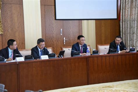 Засгийн газрын бүтэц бүрэлдэхүүний тухай хуулиудын төслийн анхны