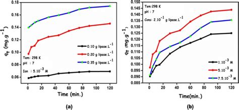 The Effect Of Initial Enzyme Concentration A And Ionic Strength B