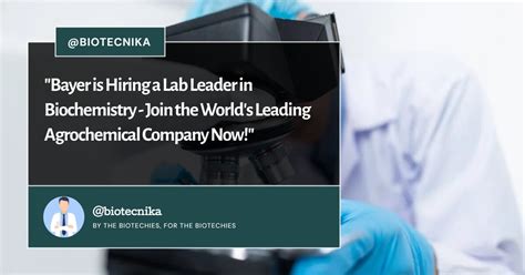 Phd Biochemistry Jobs Bayer Careers For Phd Candidates