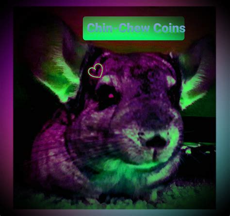 Chin Chew Collection Opensea