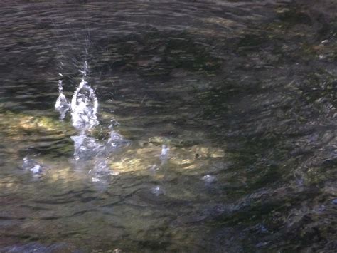 잔물결 물 튀김 Pixabay의 무료 사진 Pixabay