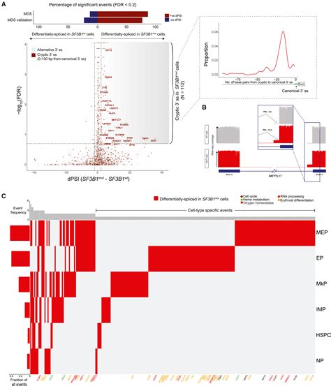 Single Cell Multi Omics Defines The Cell Type Specific Impact Of Splicing Aberrations In Human